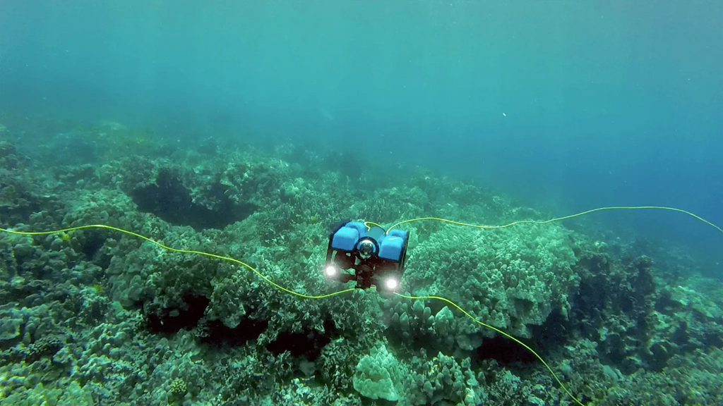 BlueROV2 in Canada - Affordable and Capable Underwater ROV – Marine ...